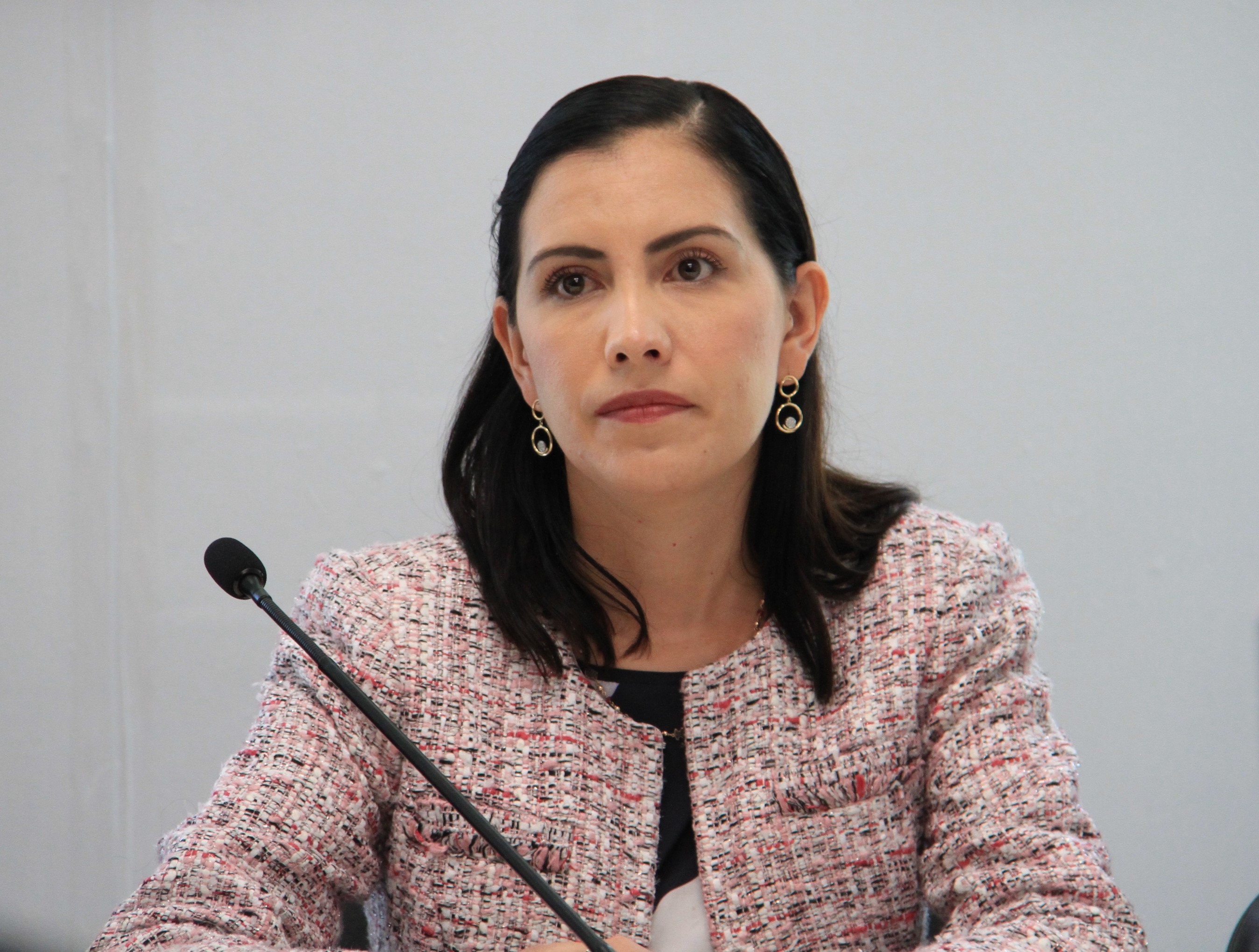 La DDHQ determinó que sí hubo discriminación de Elsa Méndez hacia la ...